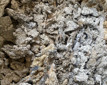 Cardinal Health 222 Co., Ltd. – World Waste Co., Ltd.